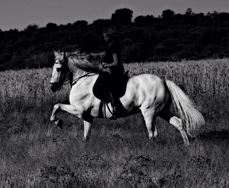 Ecuestre Girl – Blog sobre mundo ecuestre, equitación, experiencias…