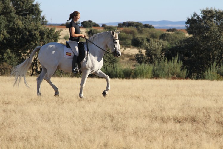 Ecuestre Girl – Blog sobre mundo ecuestre, equitación, experiencias…