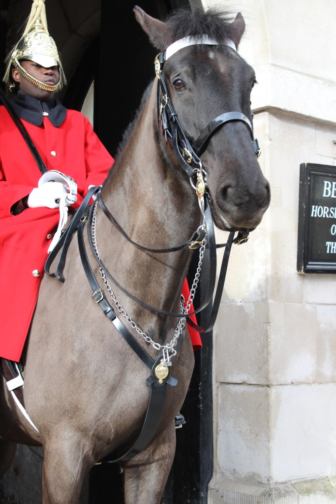 A CABALLO EN LONDRES: The Household Cavalry Museum – Ecuestre Girl