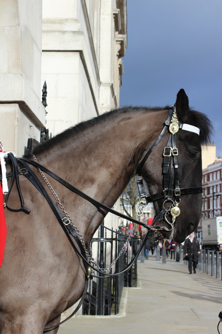 A CABALLO EN LONDRES: The Household Cavalry Museum – Ecuestre Girl
