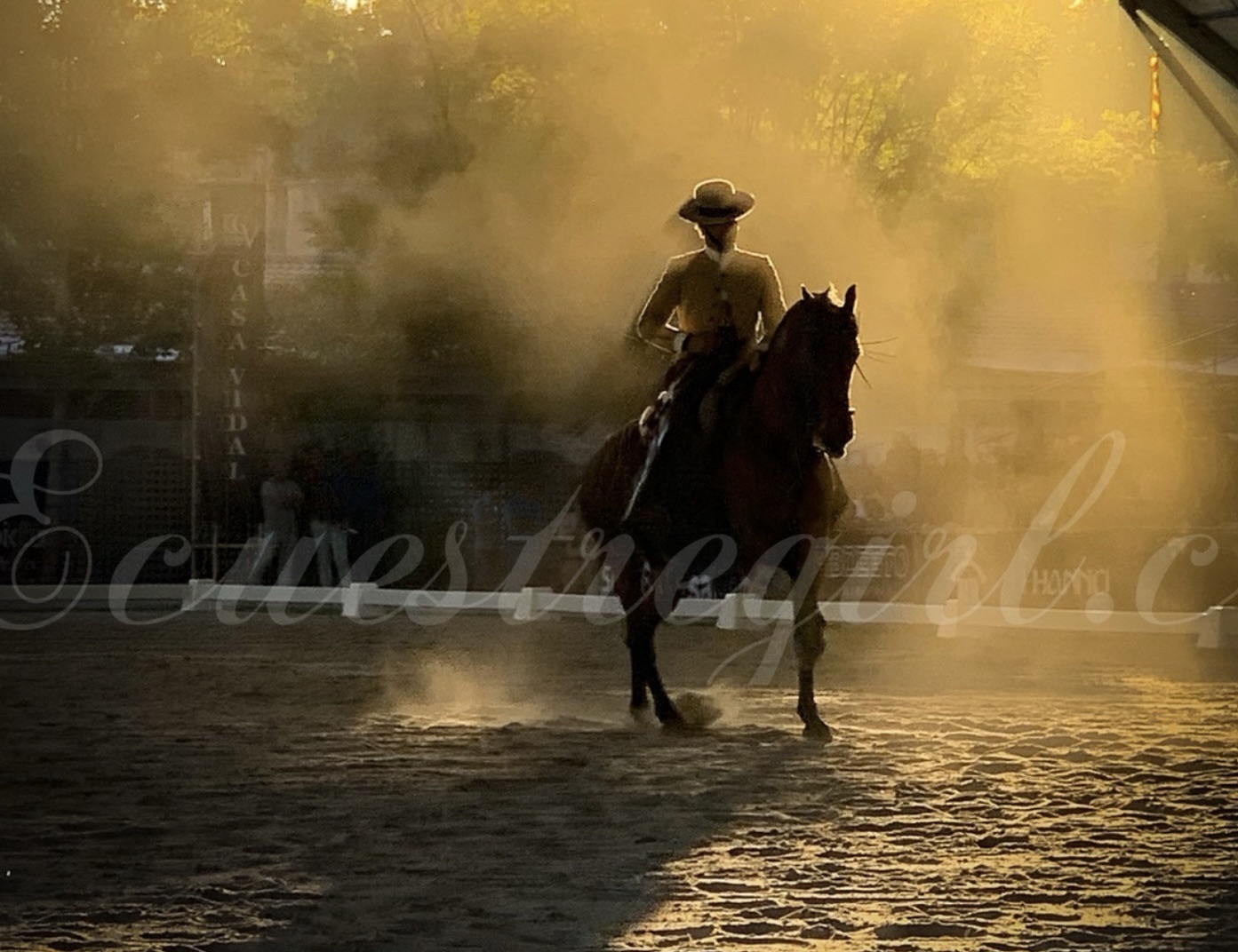 Ecuestre Girl – Blog sobre mundo ecuestre, equitación, experiencias…